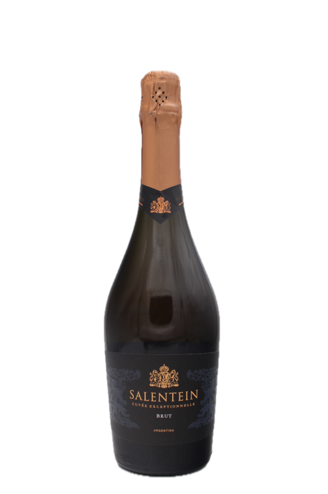 Salentein - Brut Cuvee Exceptionnelle - Best Bottles